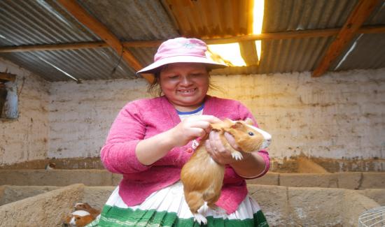 Día Internacional de la Mujer: Julia Huamán y su negocio de crianza de ...